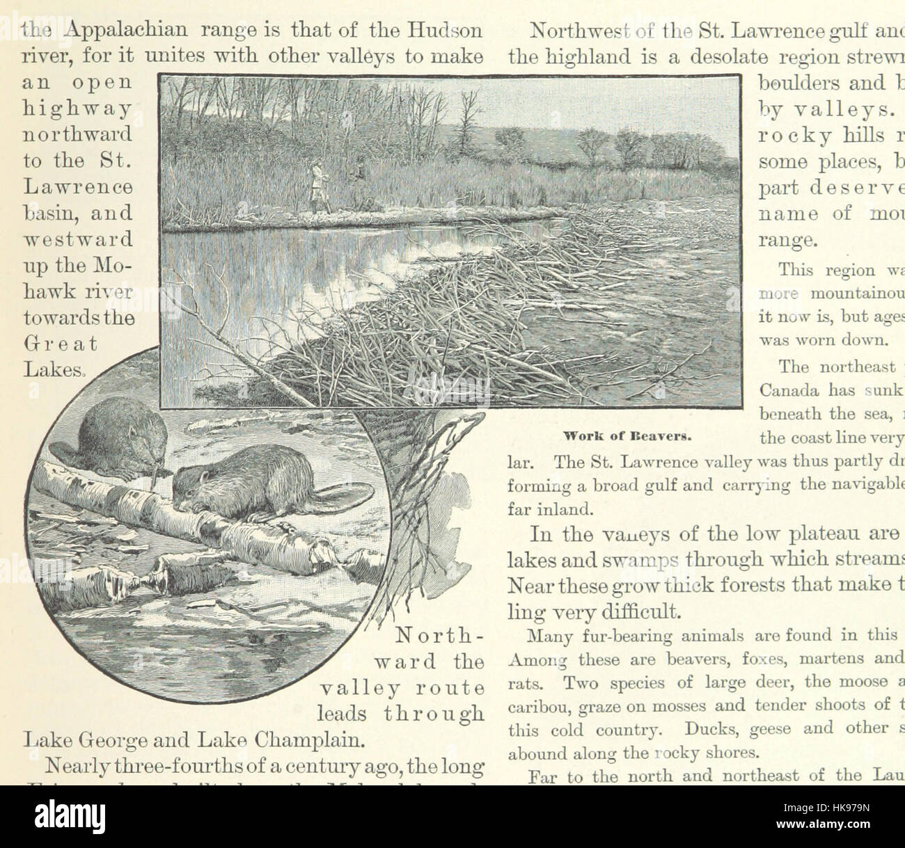An image from 'New Canadian Geography,' a textbook designed for public ...