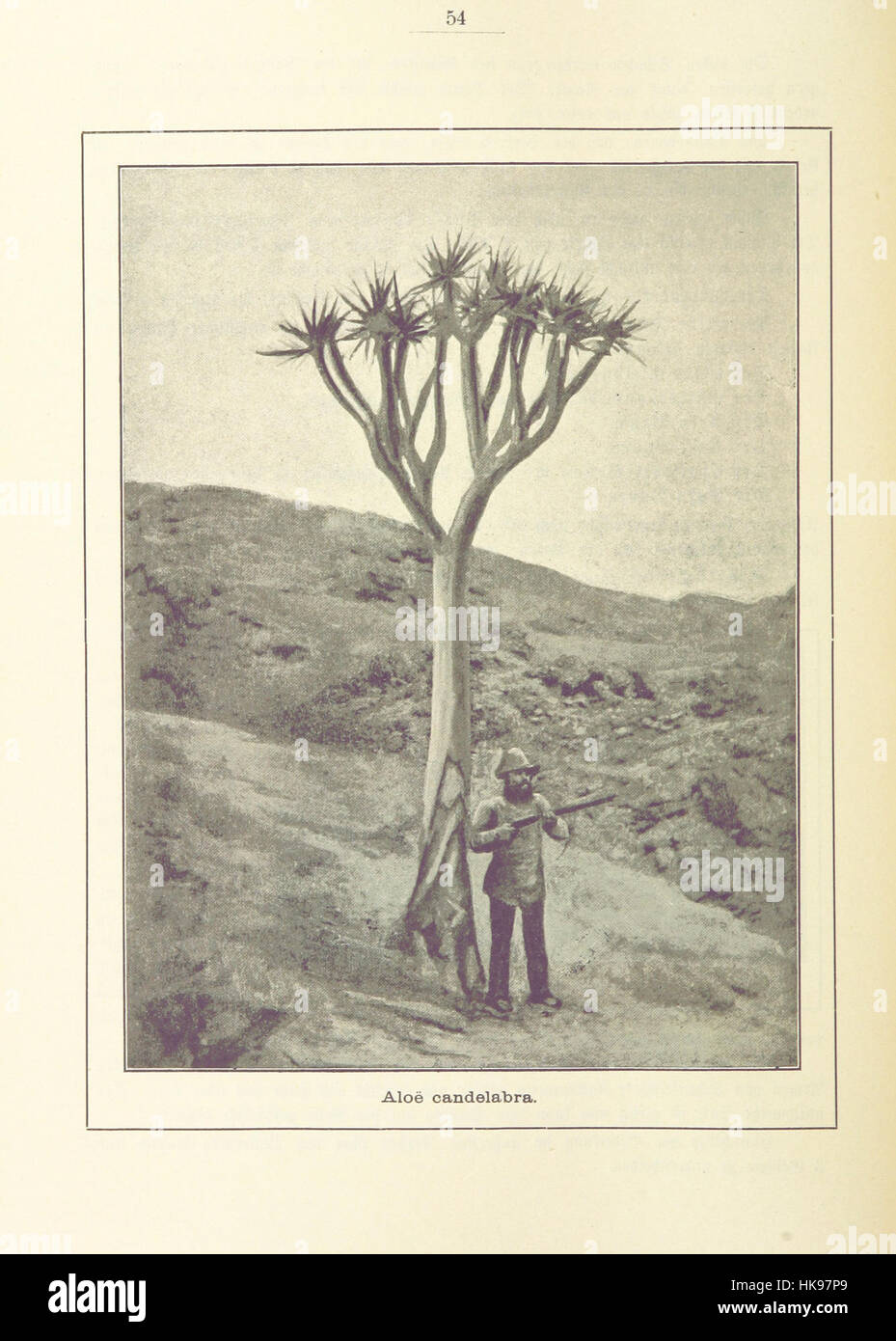 Image from 'Nama und Damara', depicting the people and culture of the ...