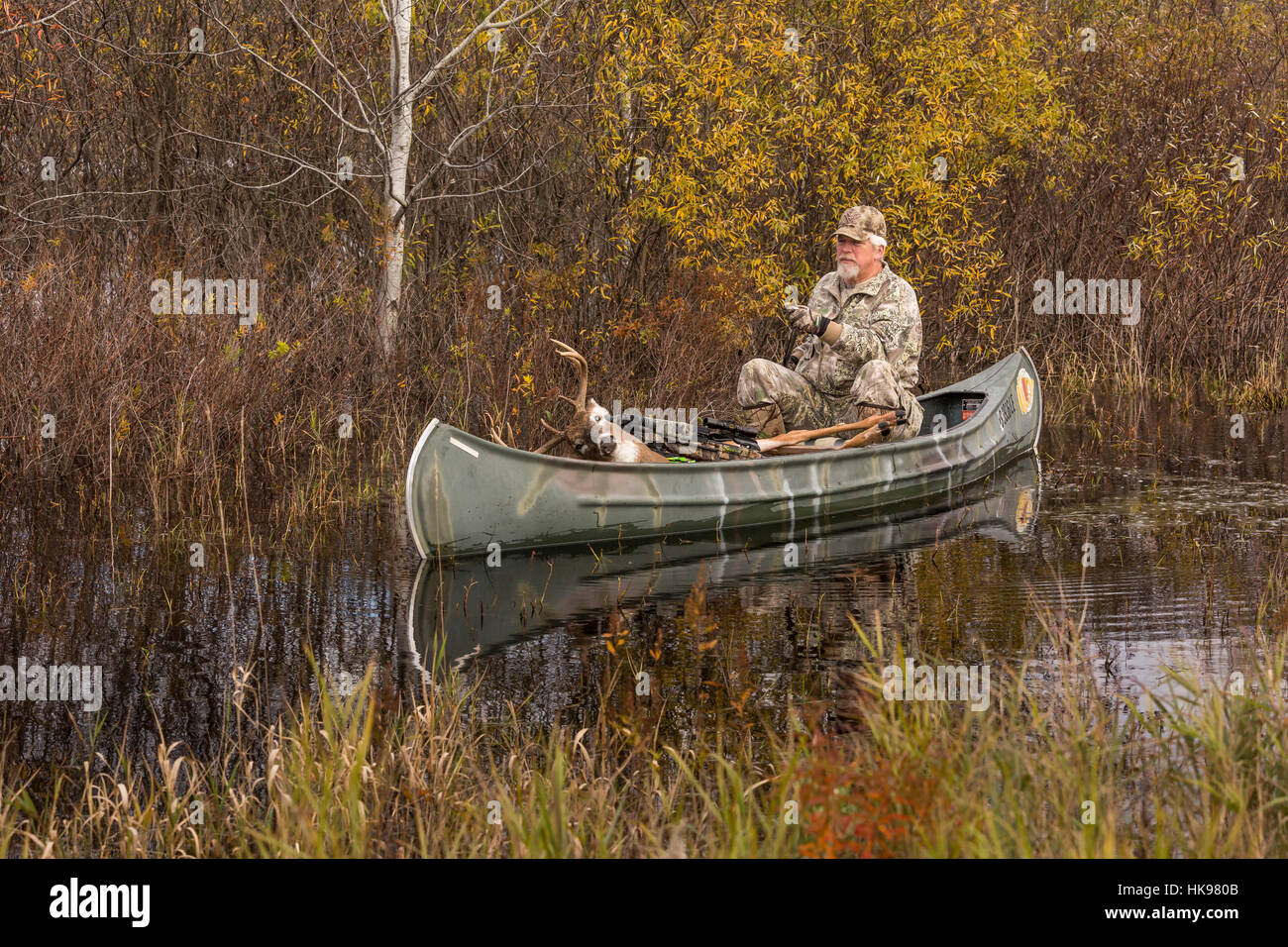 Successful bowhunter returning, in a canoe, with his 8-point buck Stock ...