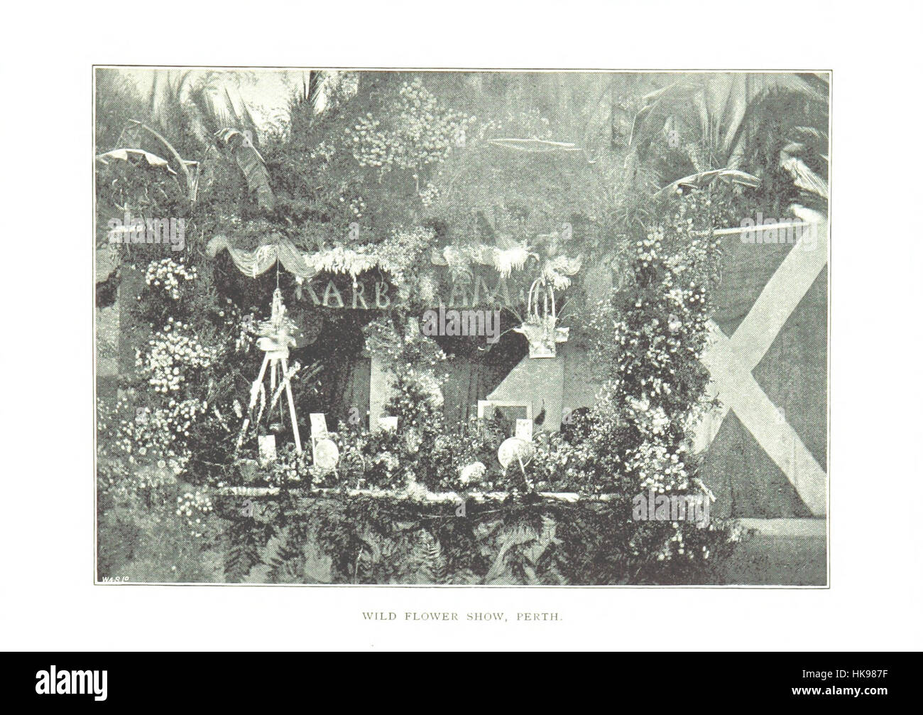 An illustration from 'My Fourth Tour in Western Australia,' depicting ...