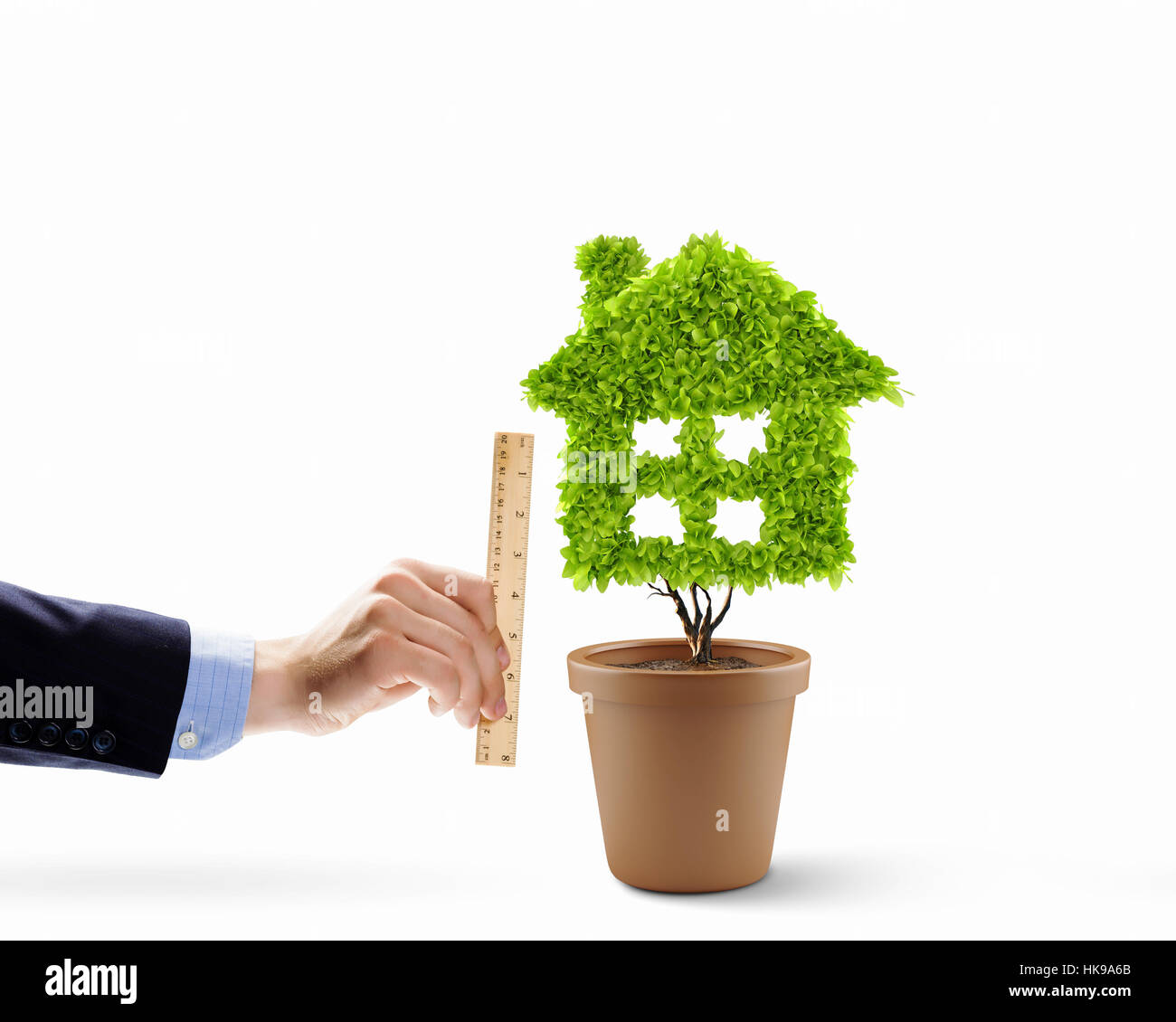 House shaped plant in pot measured with ruler hi-res stock photography ...