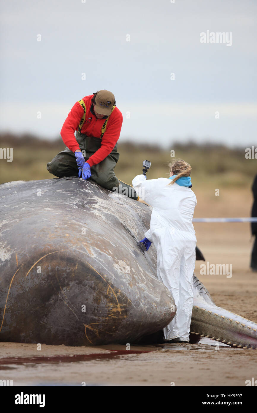 Corpse woman on beach hi-res stock photography and images - Alamy