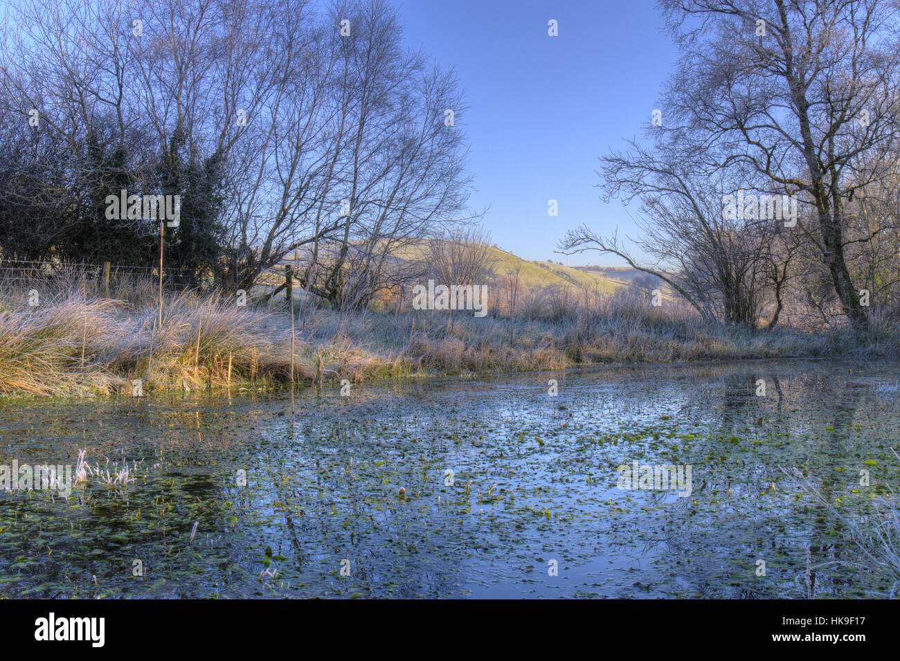 Marginal habitats hi-res stock photography and images - Alamy