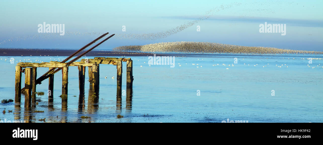 Remains of a jetty still survive next to Wolferton Creek Featuring ...