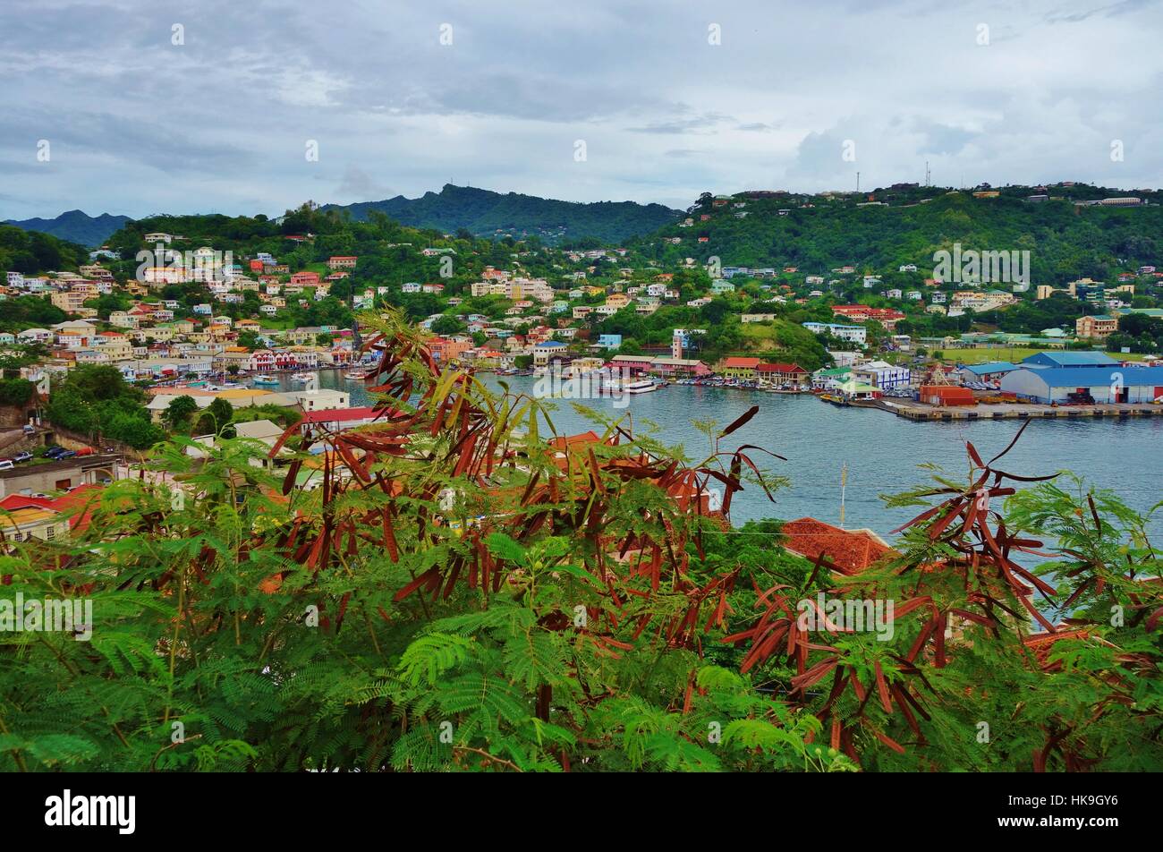 Landscape view of the colorful port of St George's, the capital of the ...