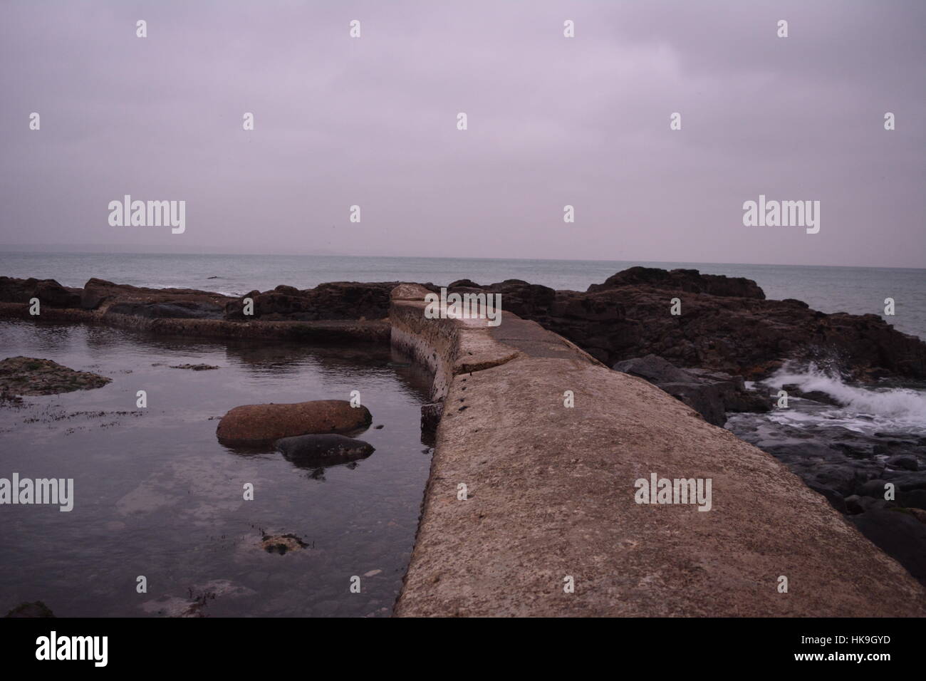 Aquatic fungi hi-res stock photography and images - Alamy