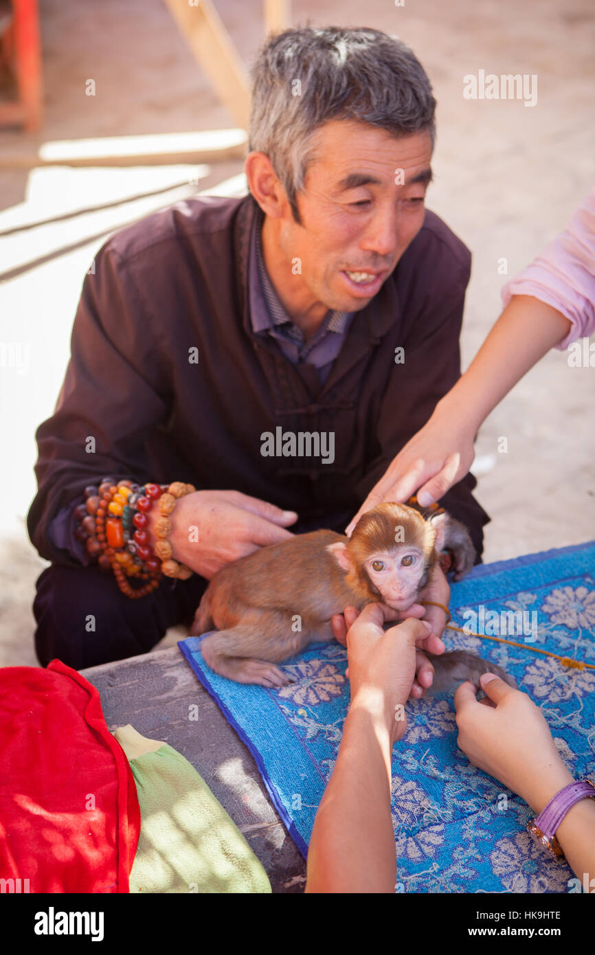 Baby monkey. Archeological site of Shui Dong Gou. Yinchuan, Ningxia ...