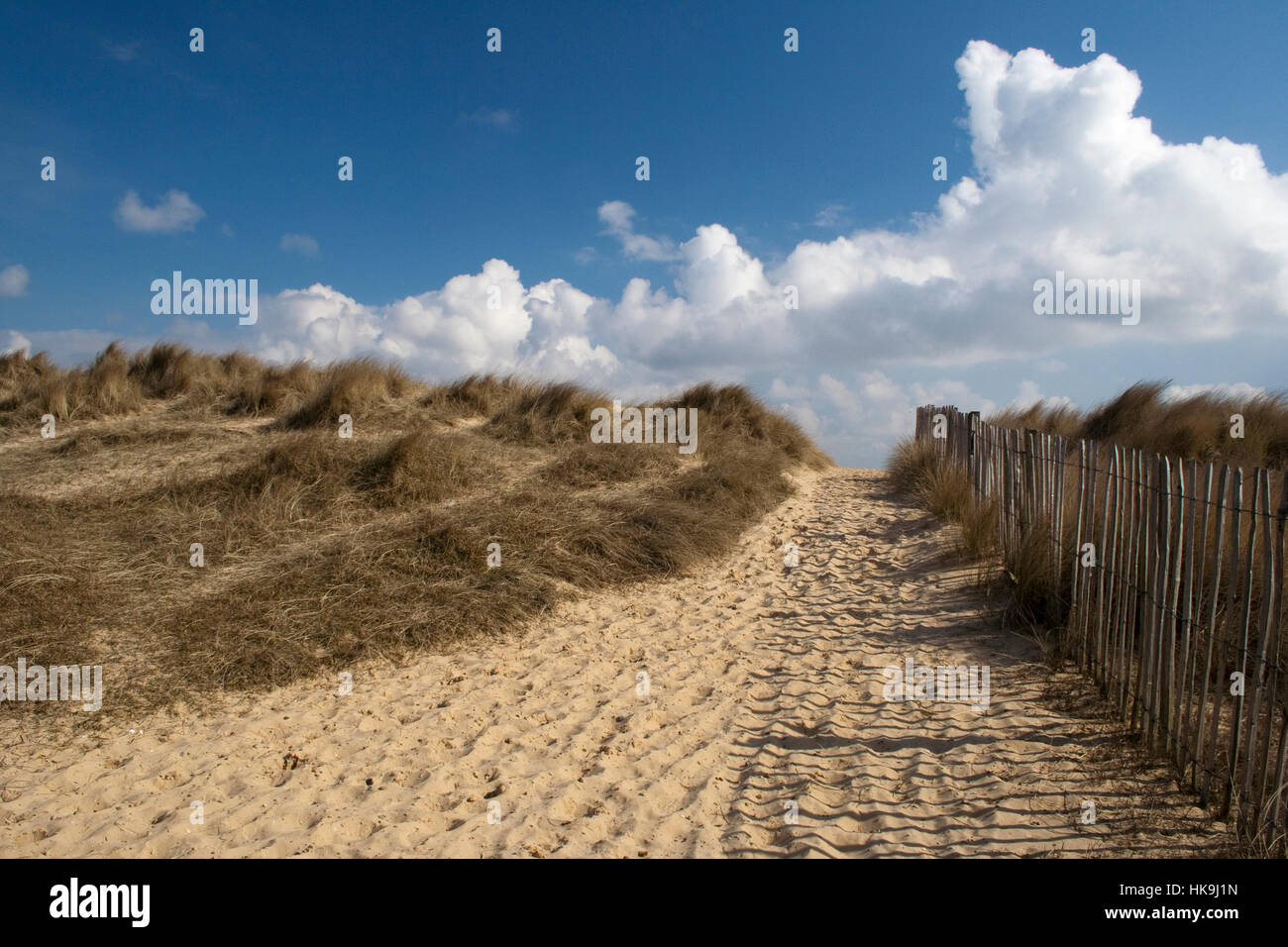 Walberswick suffolk beach hi-res stock photography and images - Alamy