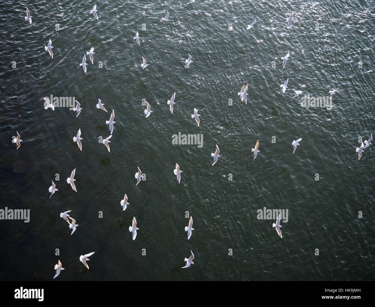 Sea water flying hi-res stock photography and images - Alamy