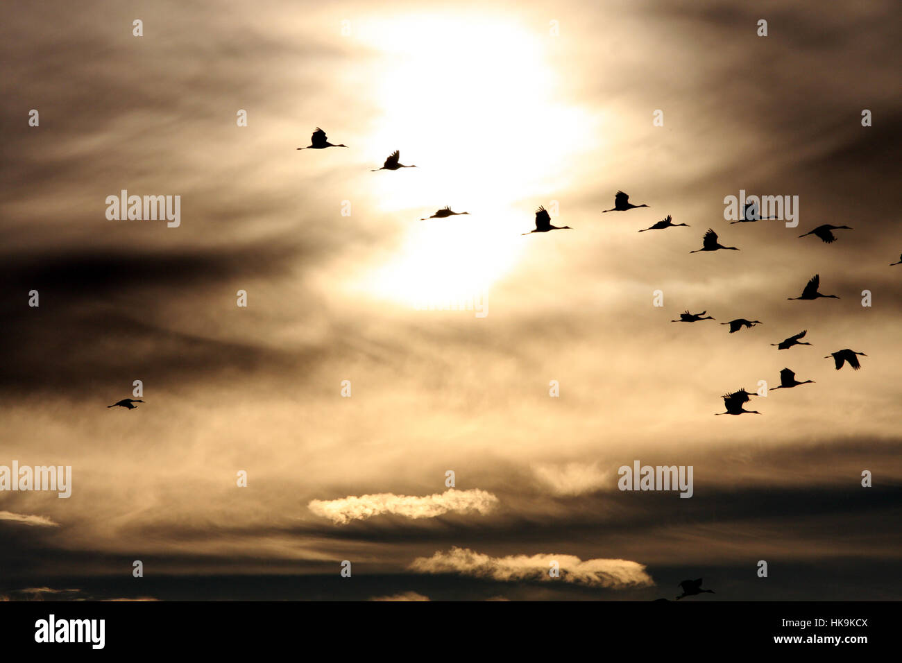 Pulaski county hi-res stock photography and images - Alamy