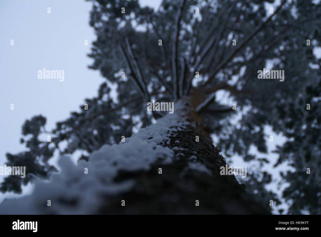 Interesting angle hi-res stock photography and images - Alamy