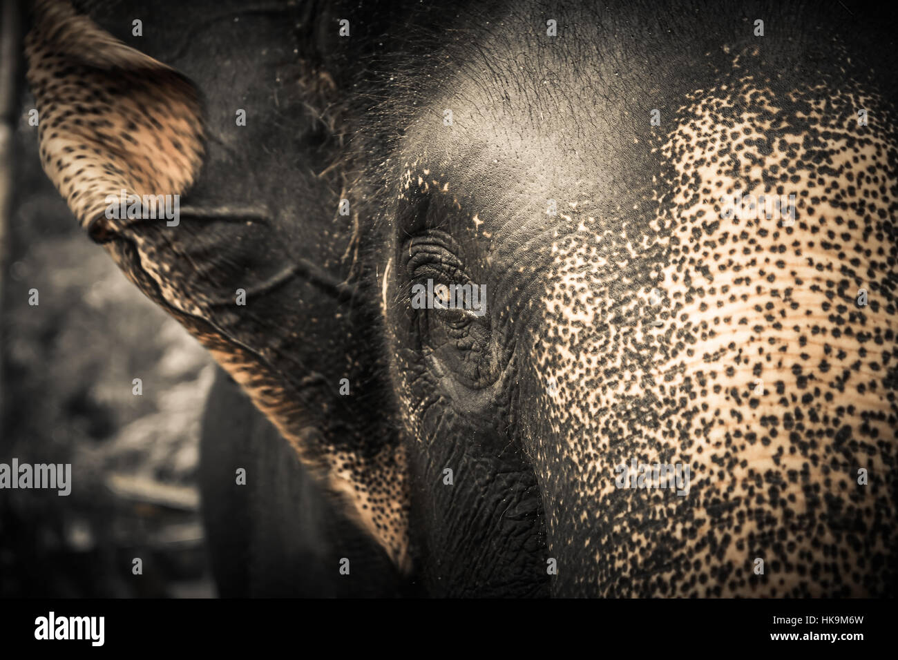 Compassion compassionate hi-res stock photography and images - Alamy