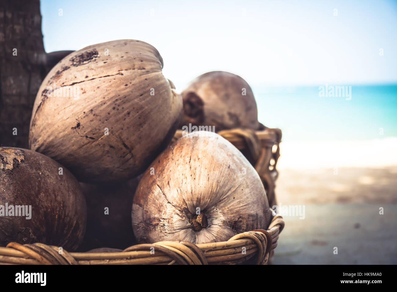 Sunny tropical beach with coconuts and blurred beach background Stock ...