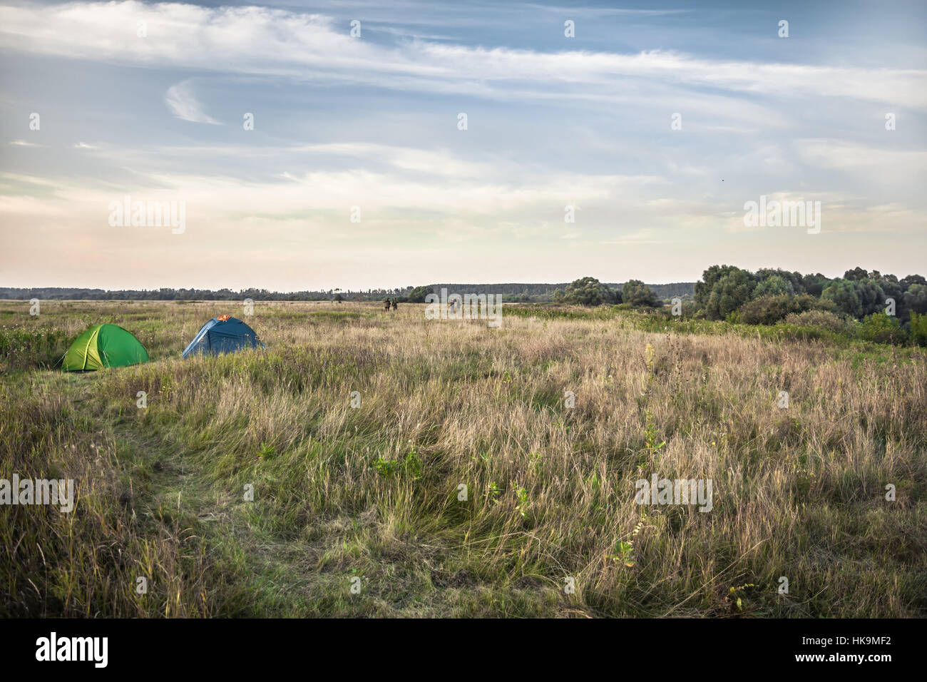 Tents on camping site in field during hunting season Stock Photo - Alamy