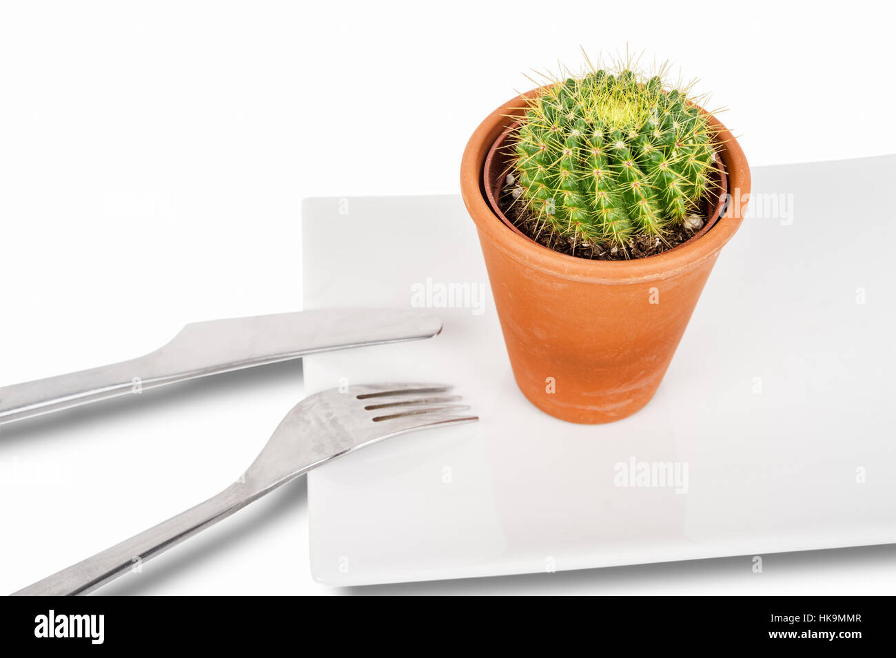 Cactus on a plate, symbolizing anorexia and food disorders Stock Photo ...