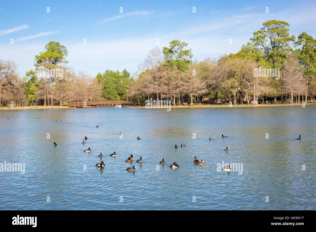 Houston Hermann park conservancy Mcgovern lake in winter Texas Stock ...