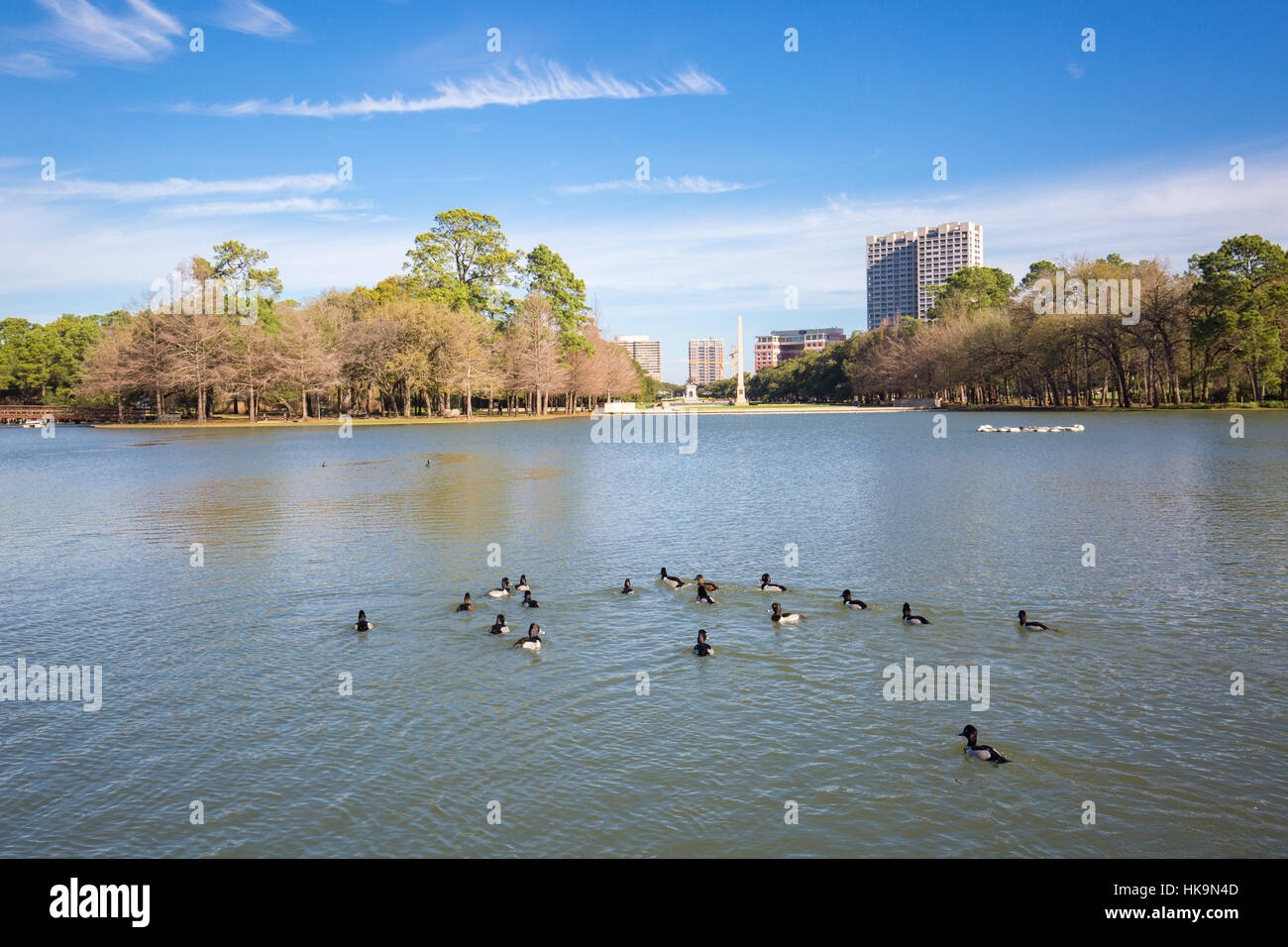 Herman park zoo hi-res stock photography and images - Alamy