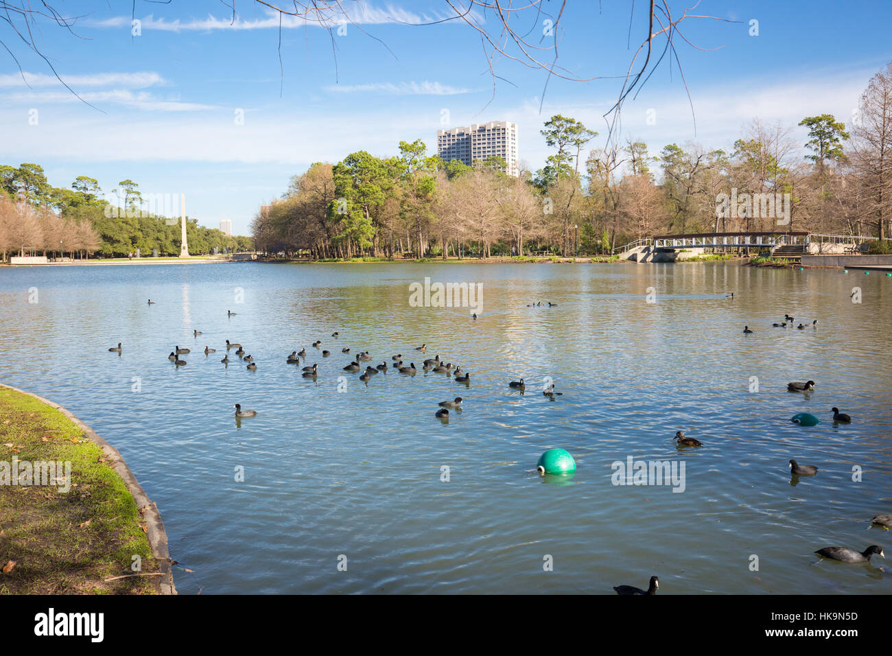 Houston Hermann park conservancy Mcgovern lake in winter Texas Stock ...