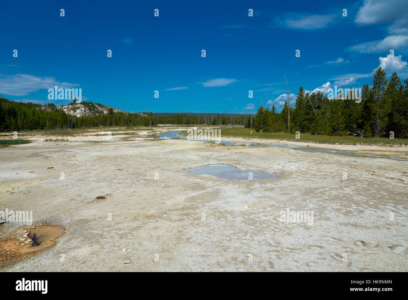 Norris Geyser Basin, Yellowstone National Park, Wyoming, USA Stock ...