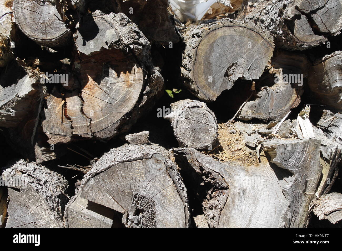 background of dark wood logs Stock Photo - Alamy