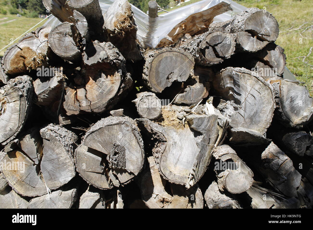 background of dark wood logs Stock Photo - Alamy