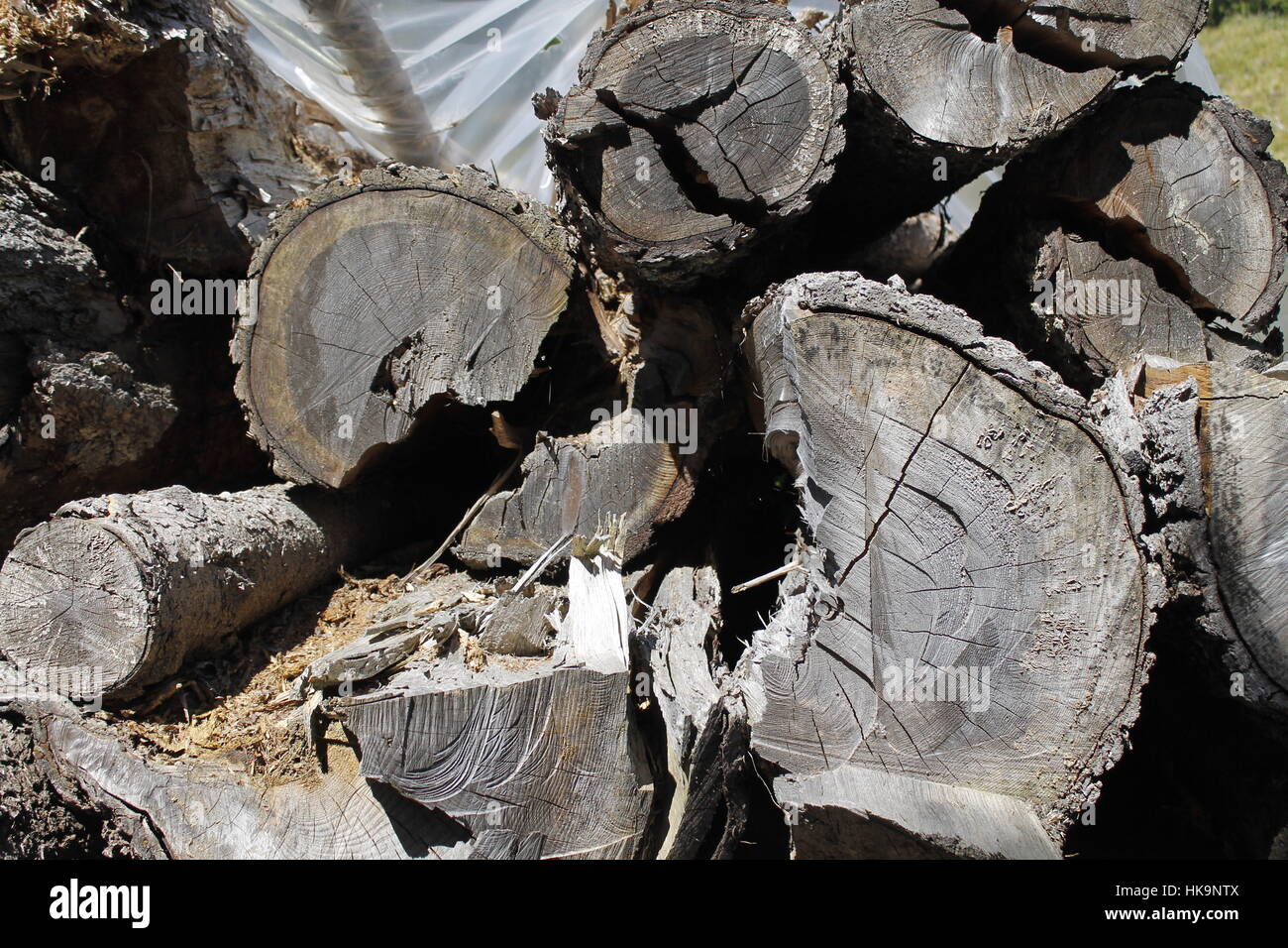background of dark wood logs Stock Photo - Alamy
