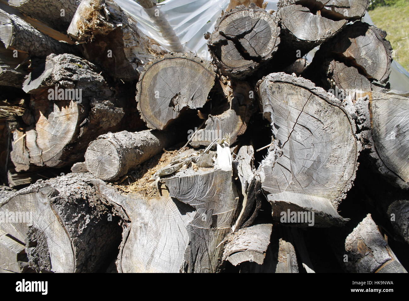 background of dark wood logs Stock Photo - Alamy