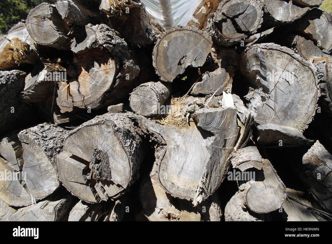 background of dark wood logs Stock Photo - Alamy