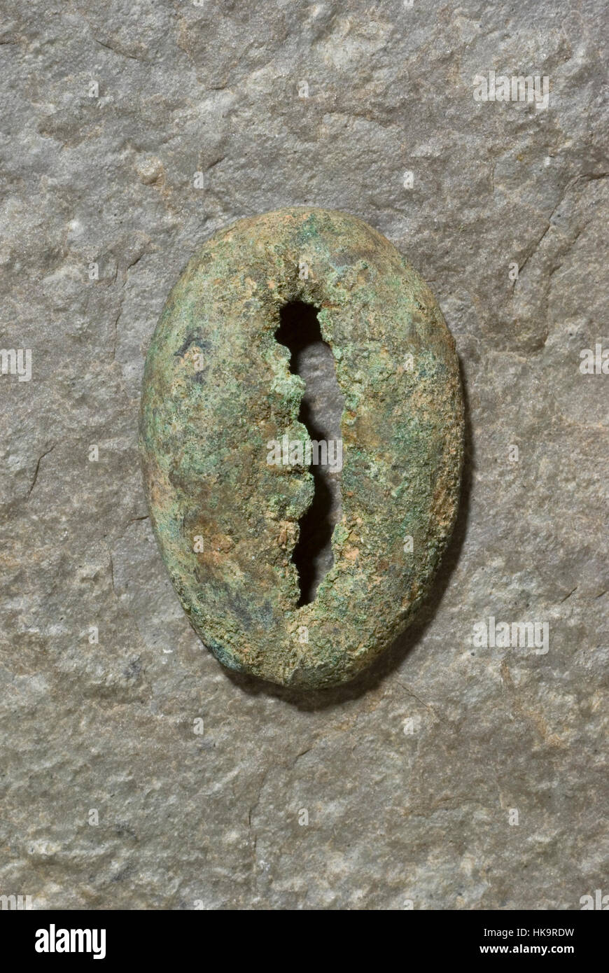 Cowrie shell money hi-res stock photography and images - Alamy