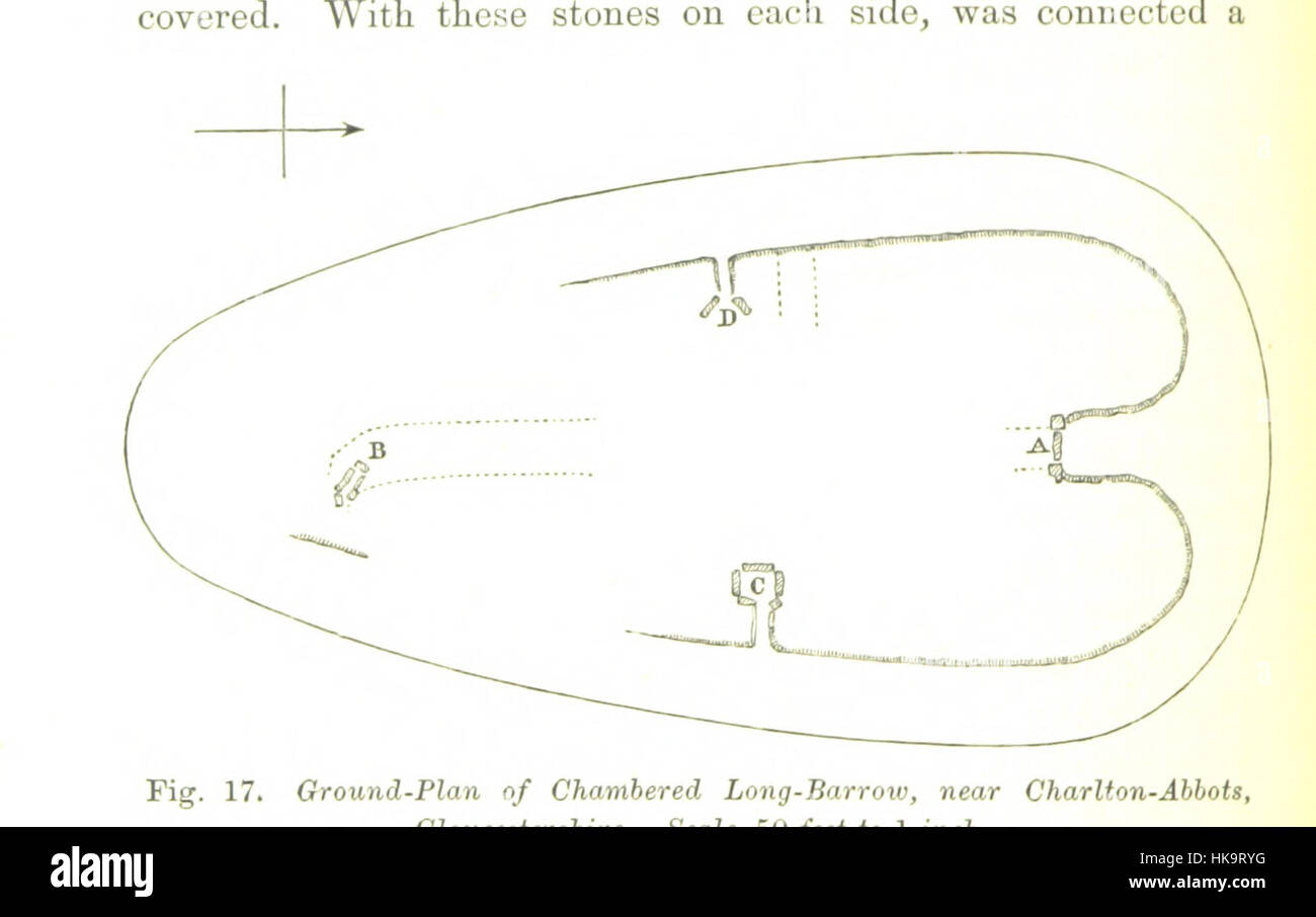 Image from page 80 of 'On the Two Principal Forms of Ancient British ...