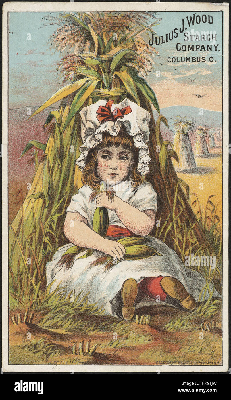 Julius wood hi-res stock photography and images - Alamy