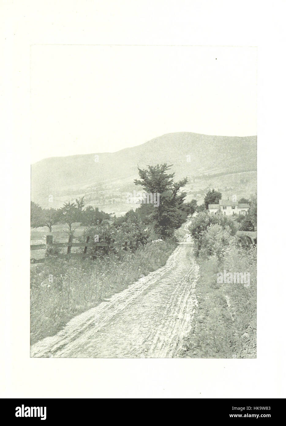 An image from 'Nature Studies in Berkshire', featuring natural ...