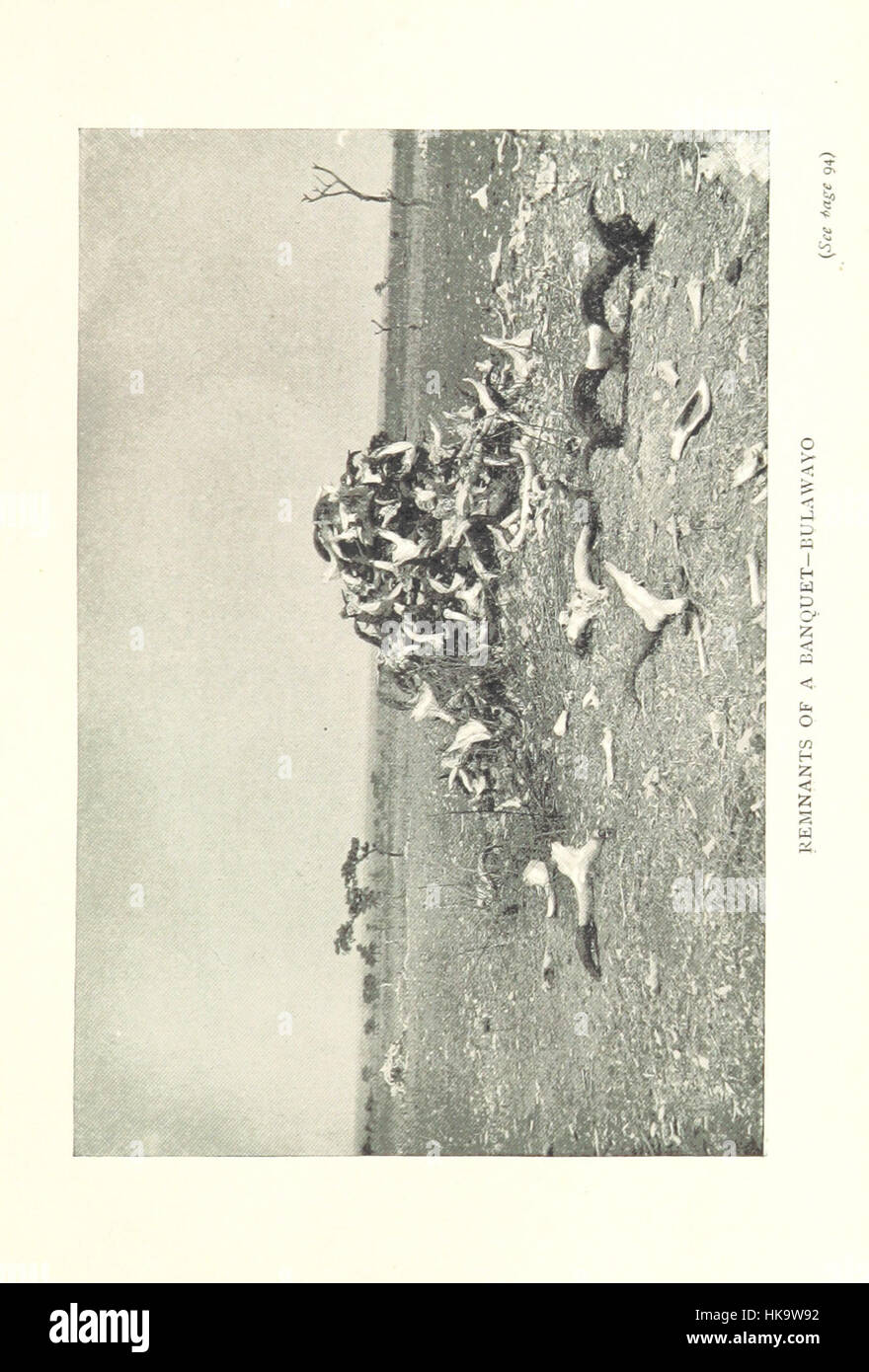 Stephanus jacobus du toit hi-res stock photography and images - Alamy