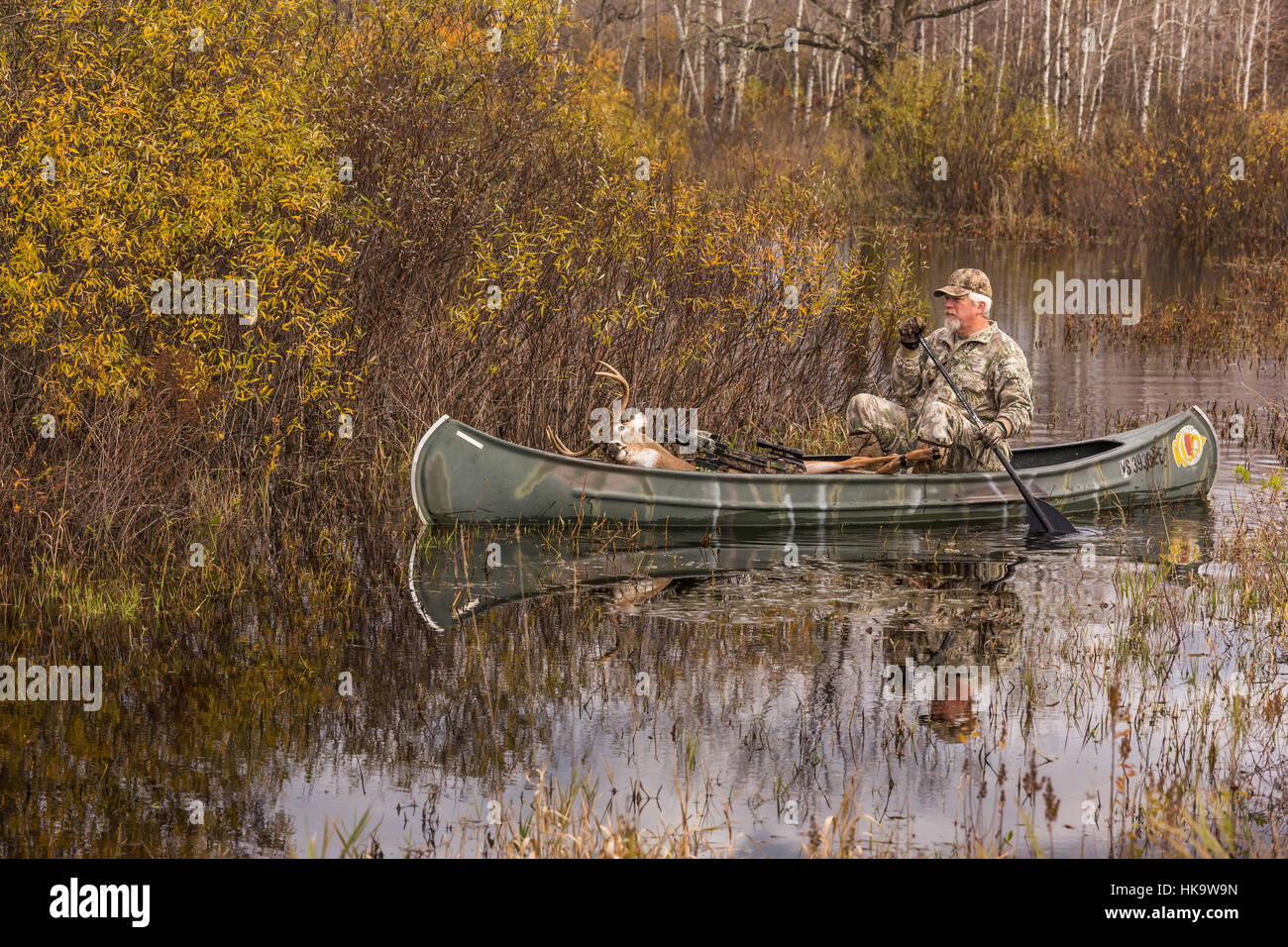 Successful bowhunter returning, in a canoe, with his 8-point buck Stock ...