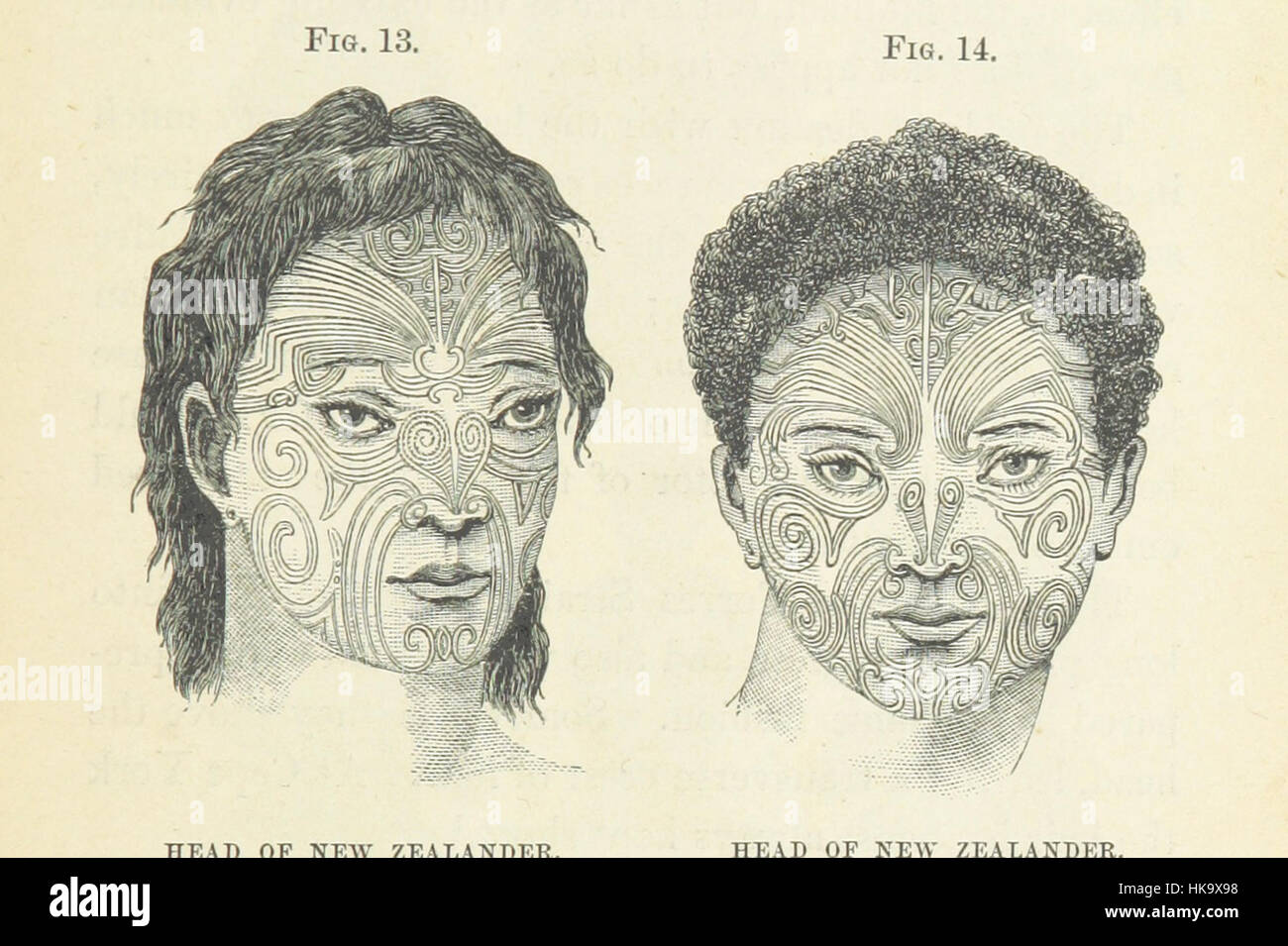 Photograph of an illustration from 'The Origin of Civilization', a ...