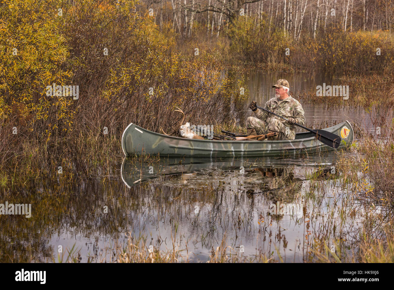 Successful bowhunter returning, in a canoe, with his 8-point buck Stock ...