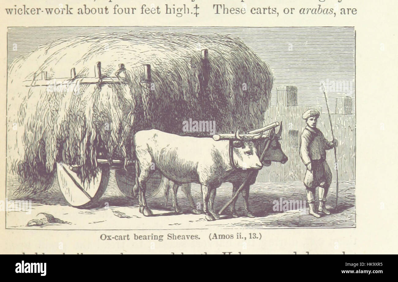 Illustration from 'Bible Lands, Their Modern Customs and Manners ...