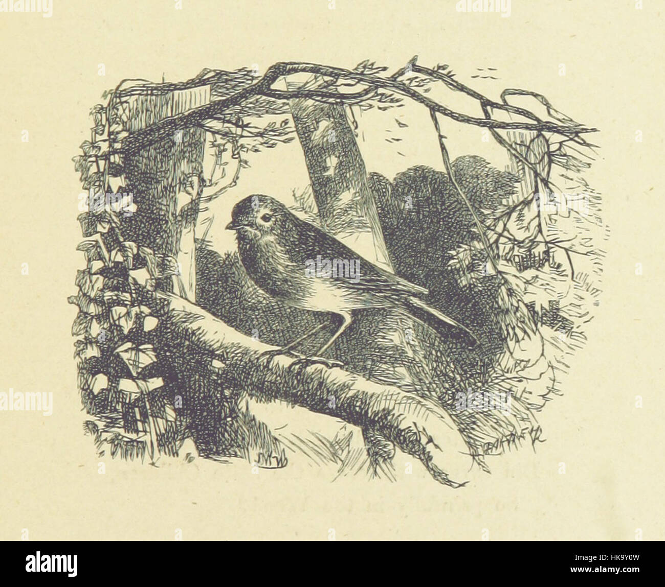 The photograph shows a page from 'Wordsworth's Poems for the Young ...