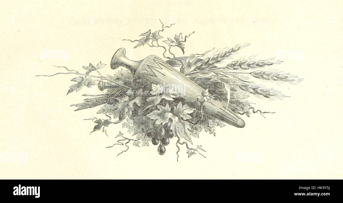 Image taken from page 879 of 'Viaggio in Ispagna,' an illustrated ...