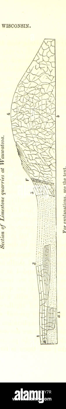 A geological survey report detailing the geological and paleontological ...