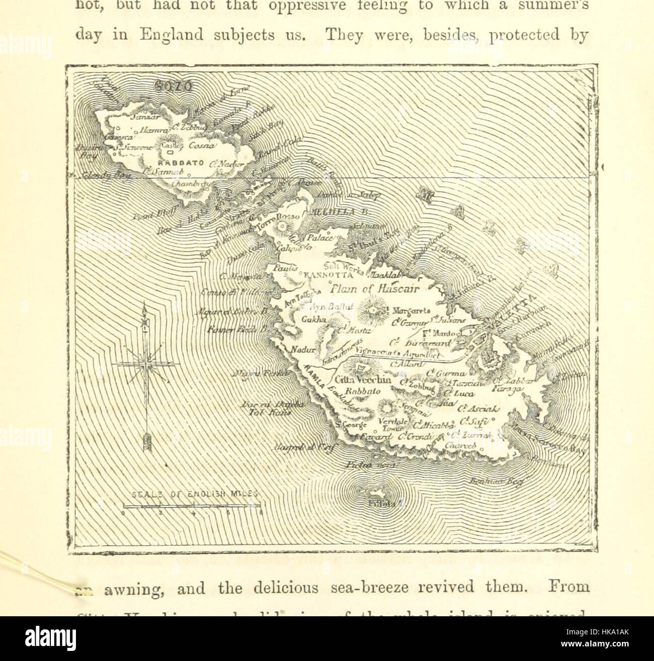 Image from 'The Fife and Drum,' a narrative exploring the life of a ...