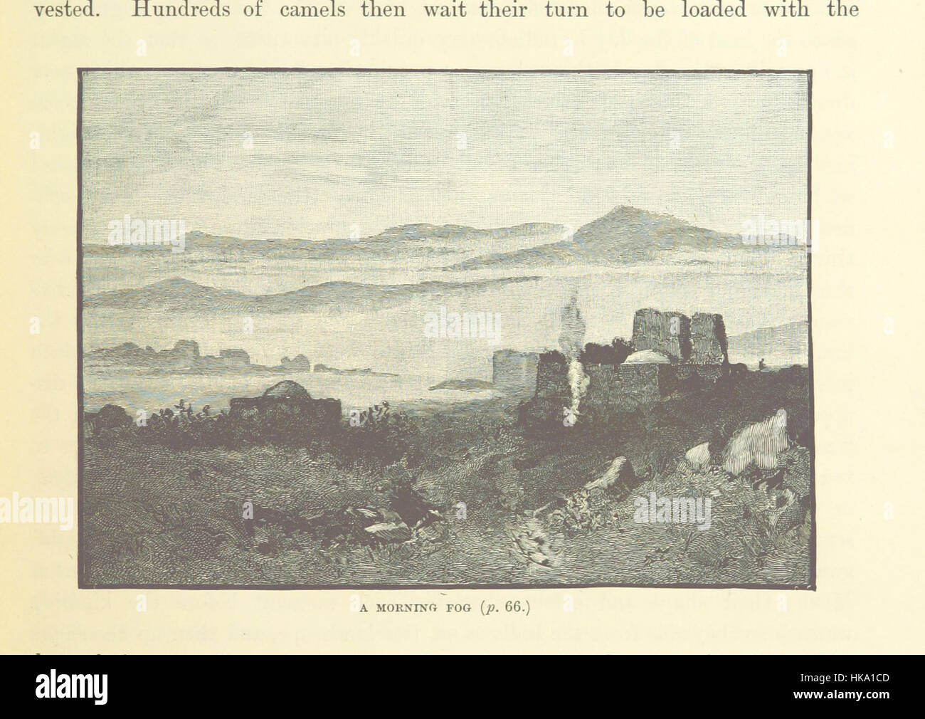 Illustration from 'The Holy Land and the Bible', featuring biblical ...
