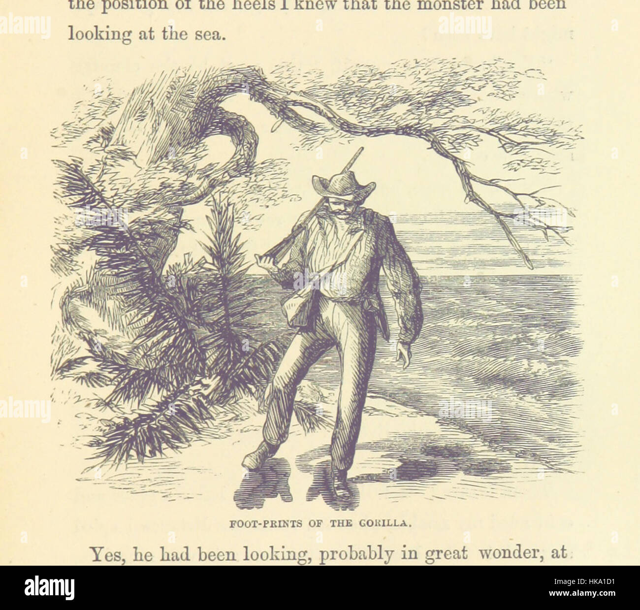 An illustration from 'Wild Life under the Equator,' showing the ...