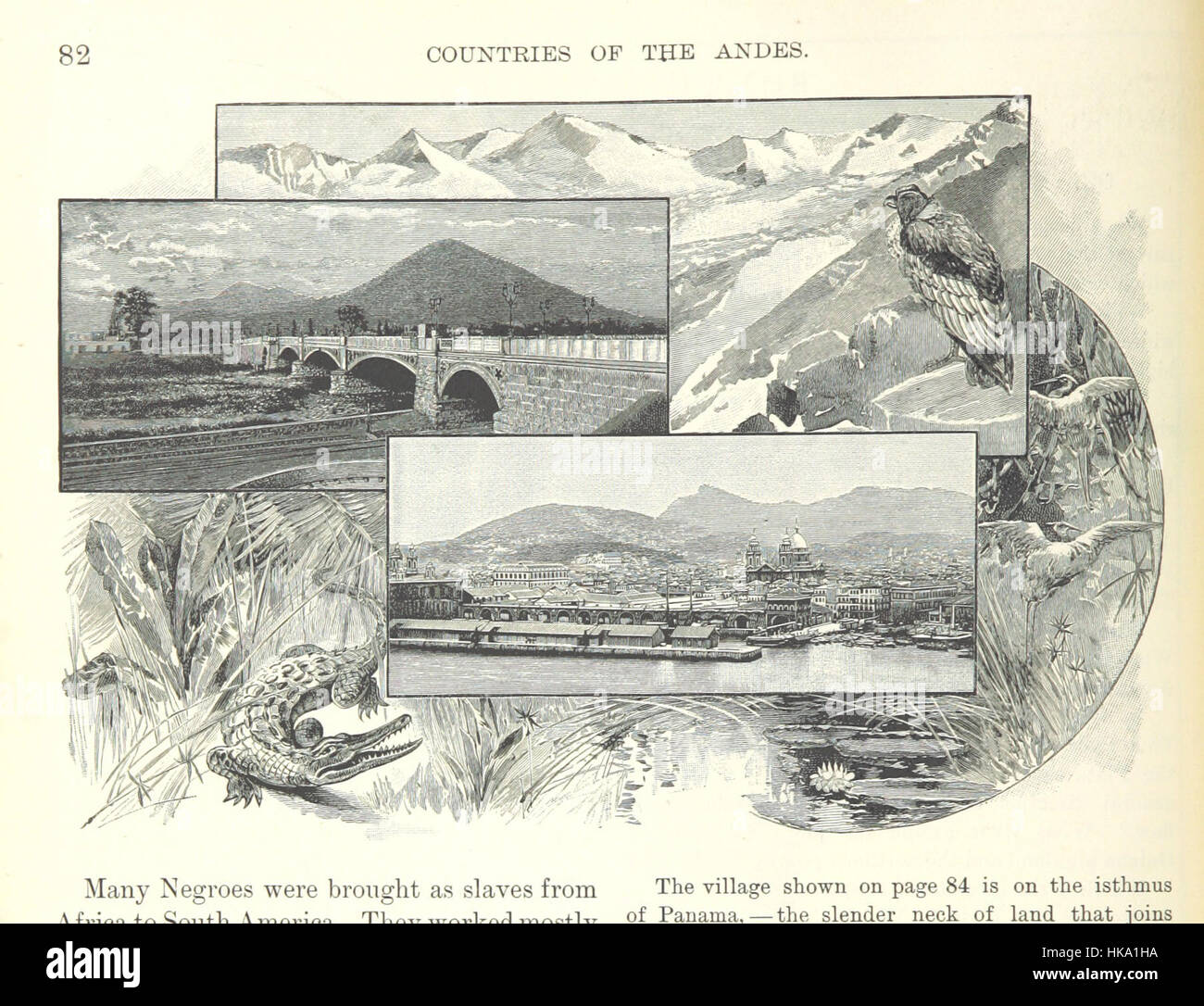 Image from 'Elements of Geography,' showing illustrations of key ...
