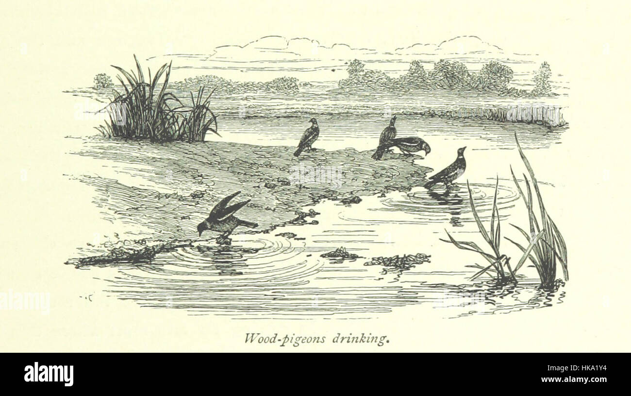 This image from 'Life on the Upper Thames' captures scenes of daily ...