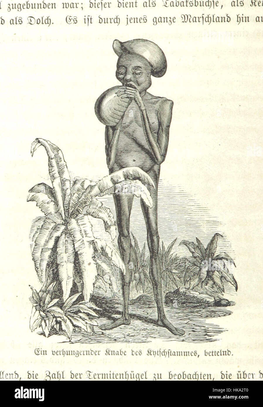 Image from page 98 of 'Der Albert Nyanza,' showing the exploration of ...