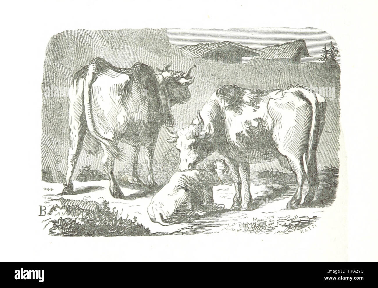 An illustration from 'Lodi e il suo territorio,' depicting the Lombardy ...