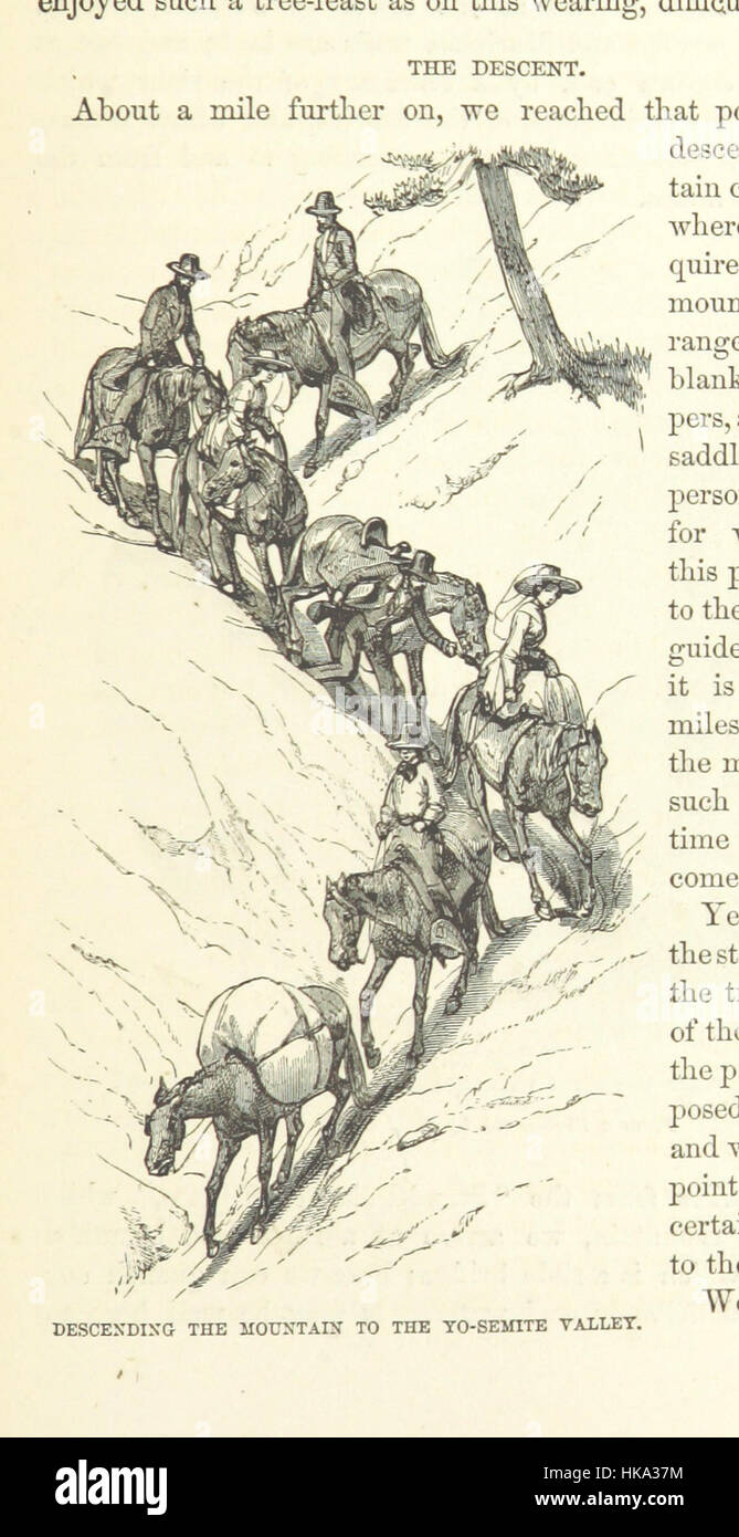 A page from 'Scenes of Wonder and Curiosity in California', showcasing ...
