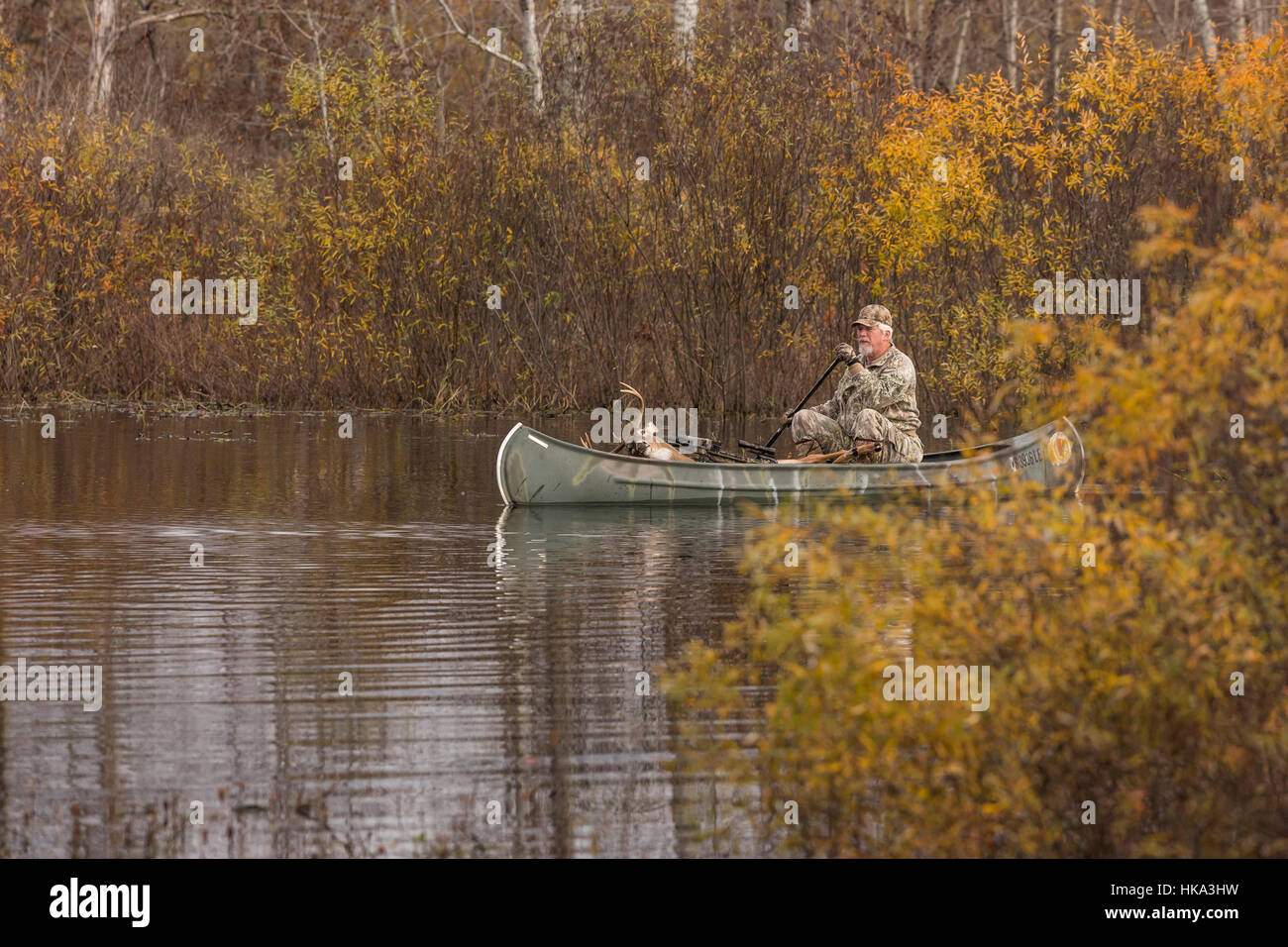 Crossbow hunter returning in a canoe with his 8-point white-tailed buck ...