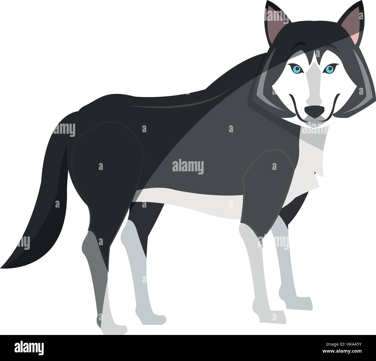 wolf cartoon icon Stock Vector Image & Art - Alamy